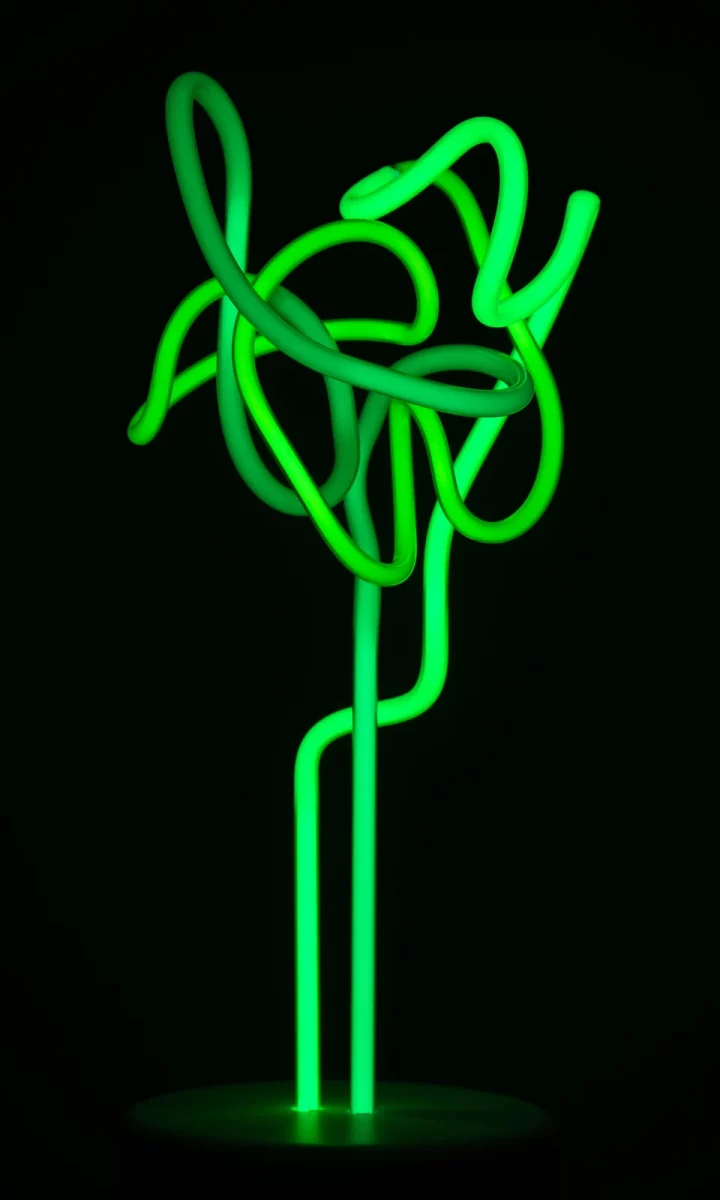 Zinis | Mash Gallery - Artwork