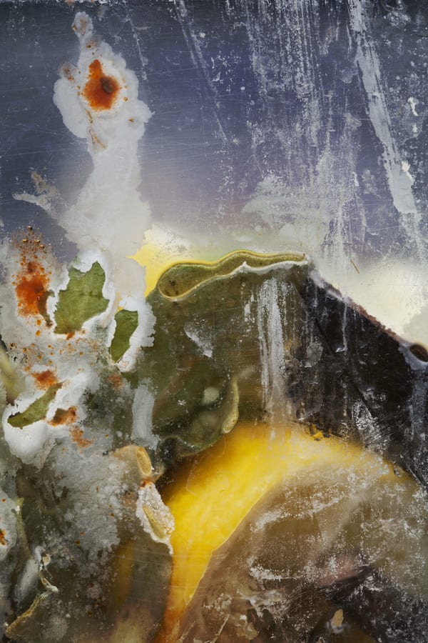 Laura Hull | Contemporary Art Gallery in LA - Artist