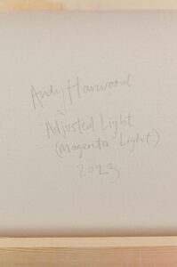 Adjusted Light (Magenta light) | Mash Gallery - Artwork