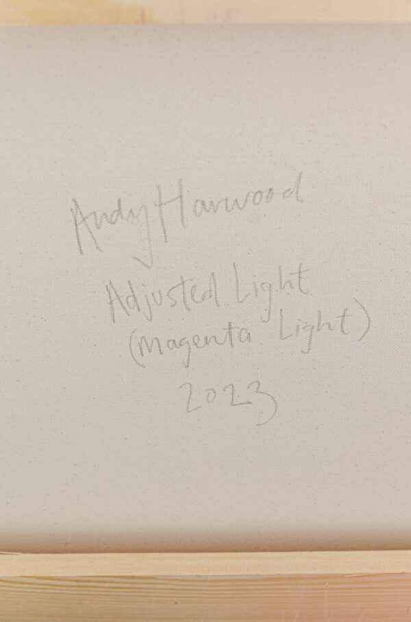 Adjusted Light (Magenta light) | Mash Gallery - Artwork