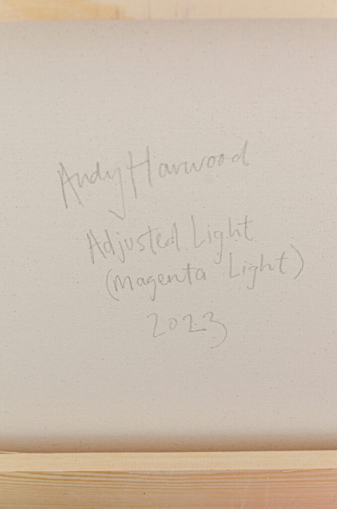 Adjusted Light (Magenta light) | Mash Gallery - Artwork